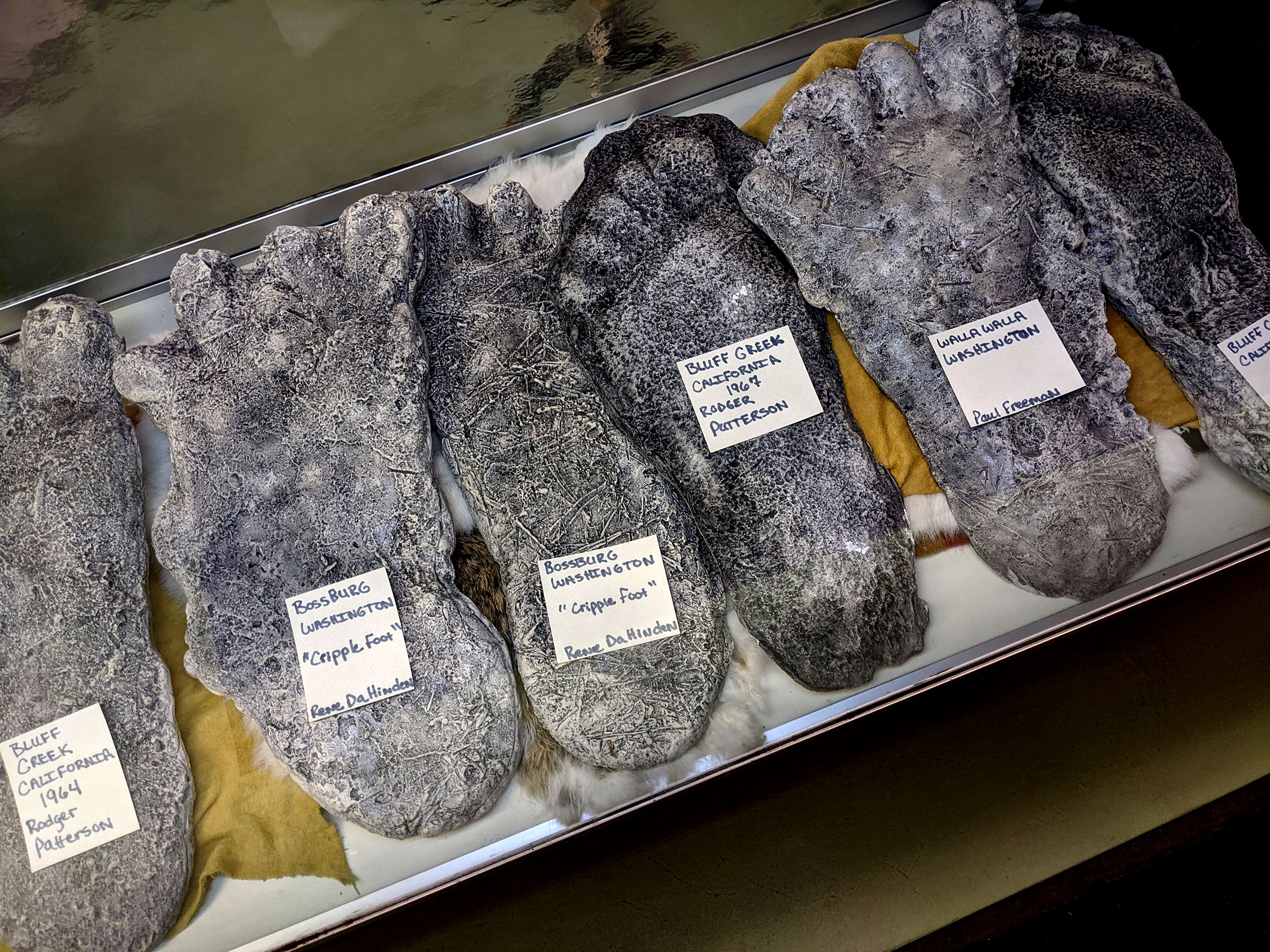 Kentucky man reveals the secret to finding Bigfoot - Paranormal Roadtripper